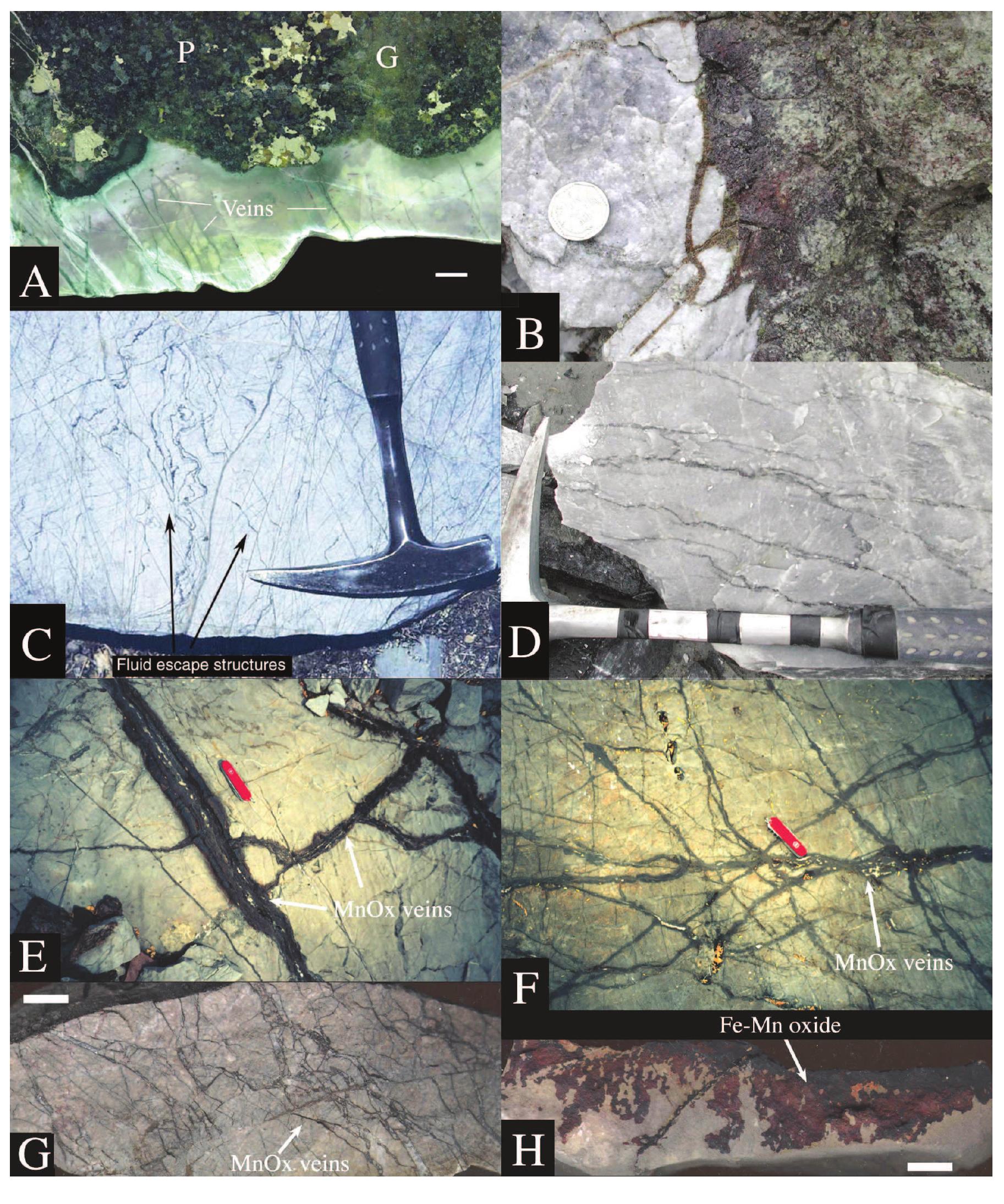Figure 20 - World Skarn Deposits