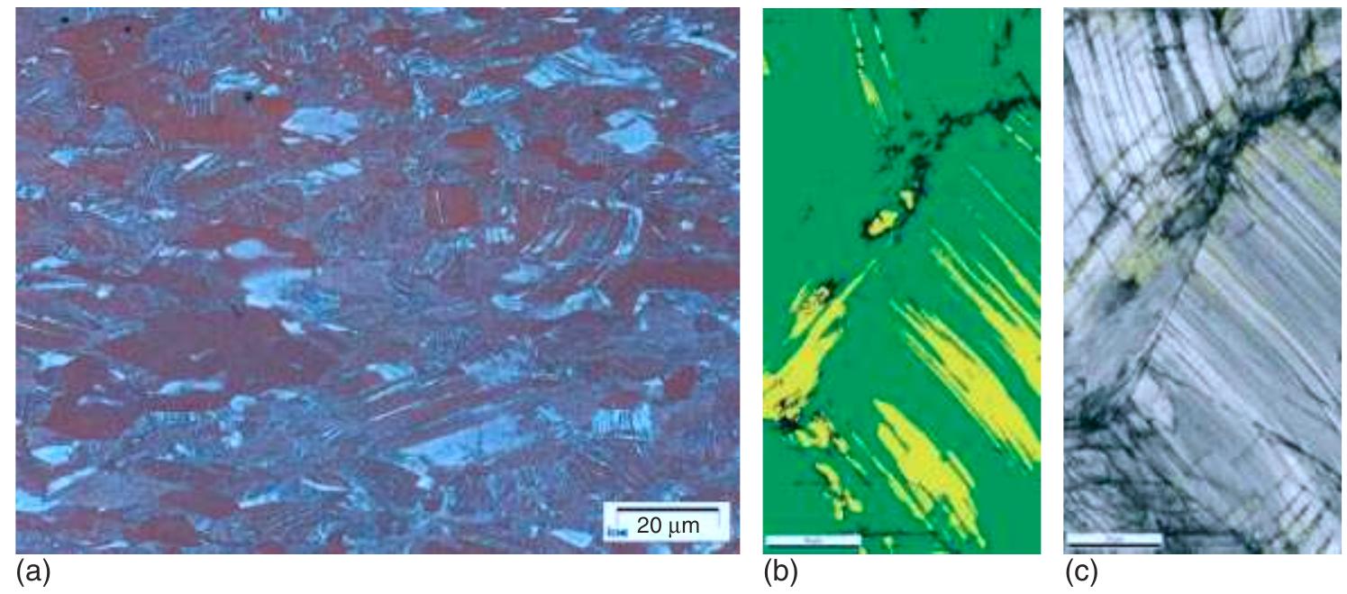 17 (a) micrograph of twip steel after deformation, (b) ebsd