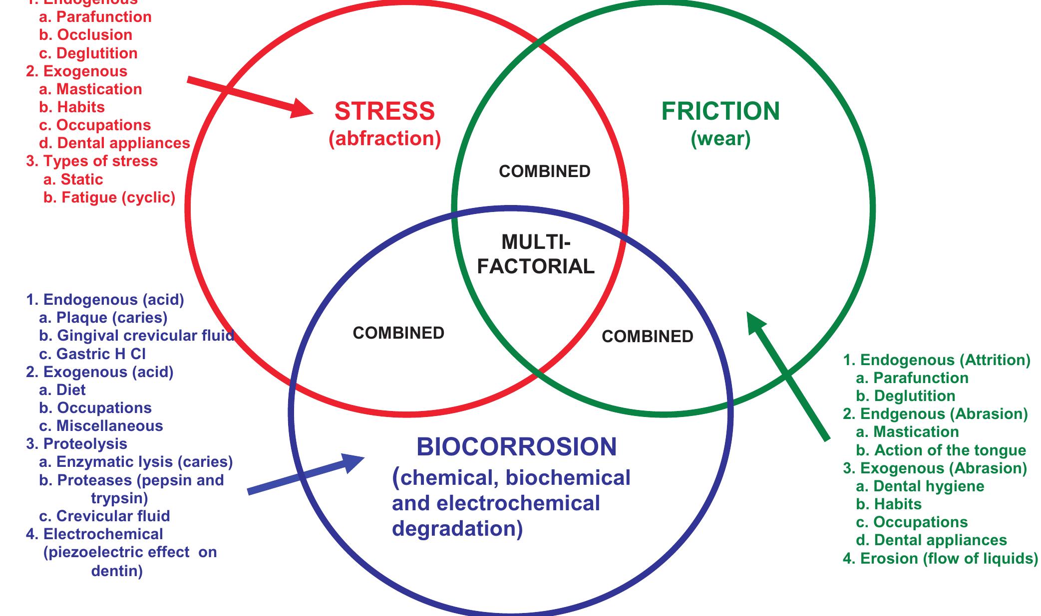 |. revised schema of pathodynamic mechanisms. this schema