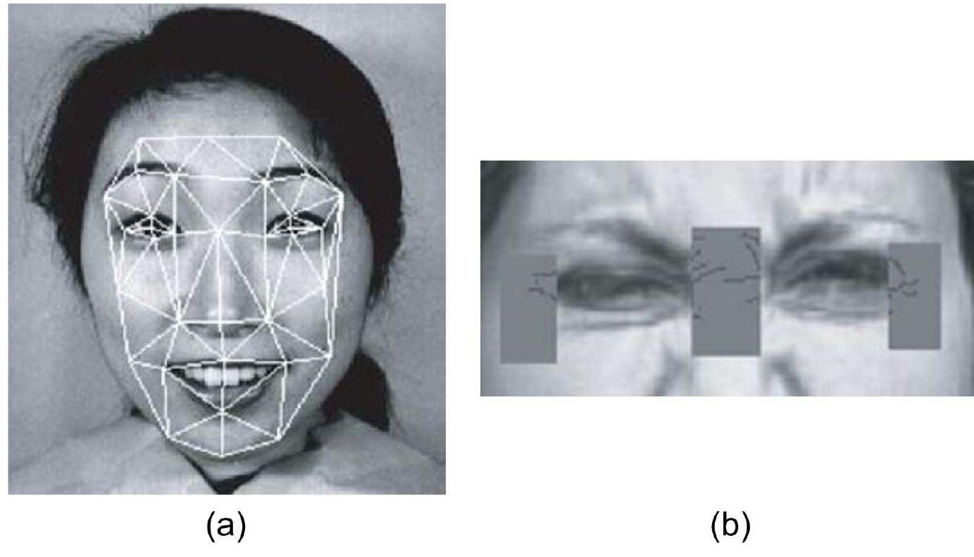 10: examples of hybrid facial models. (a) labeled graph