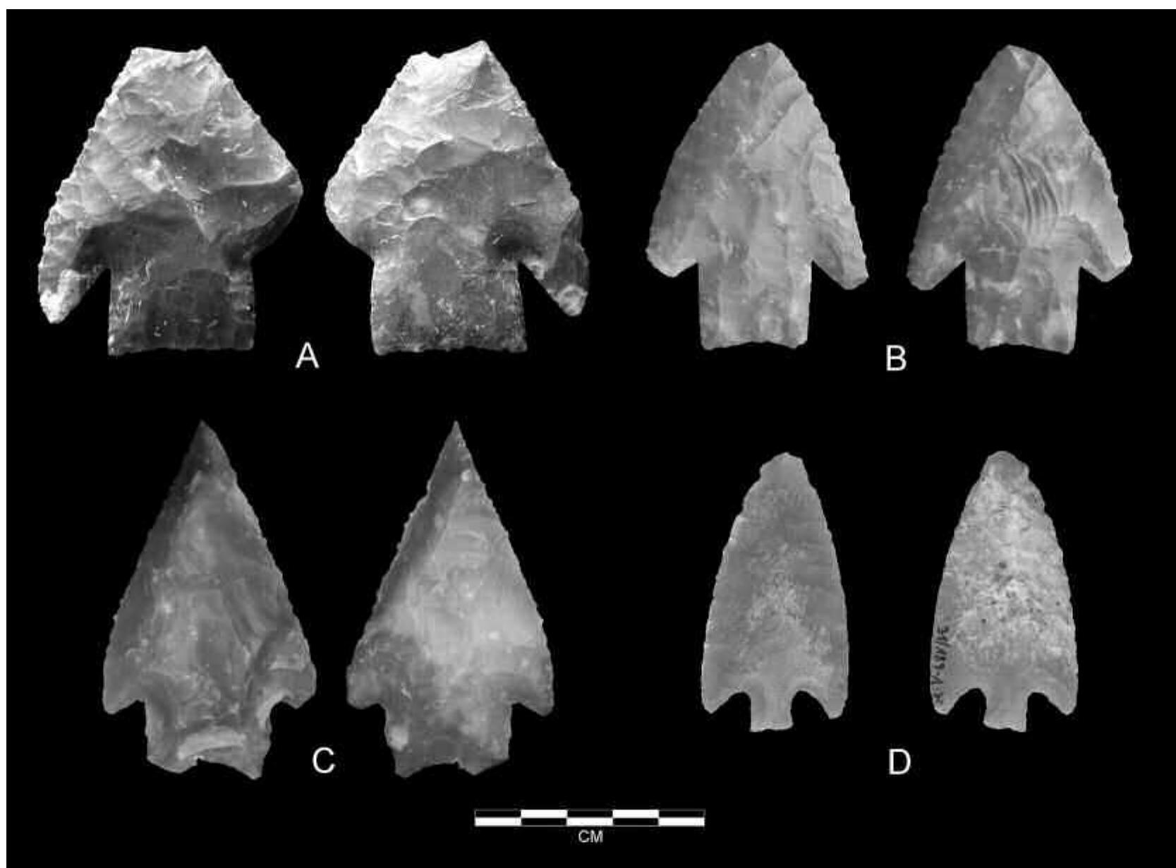 Three lowe points of colha chert, from caves branch rock