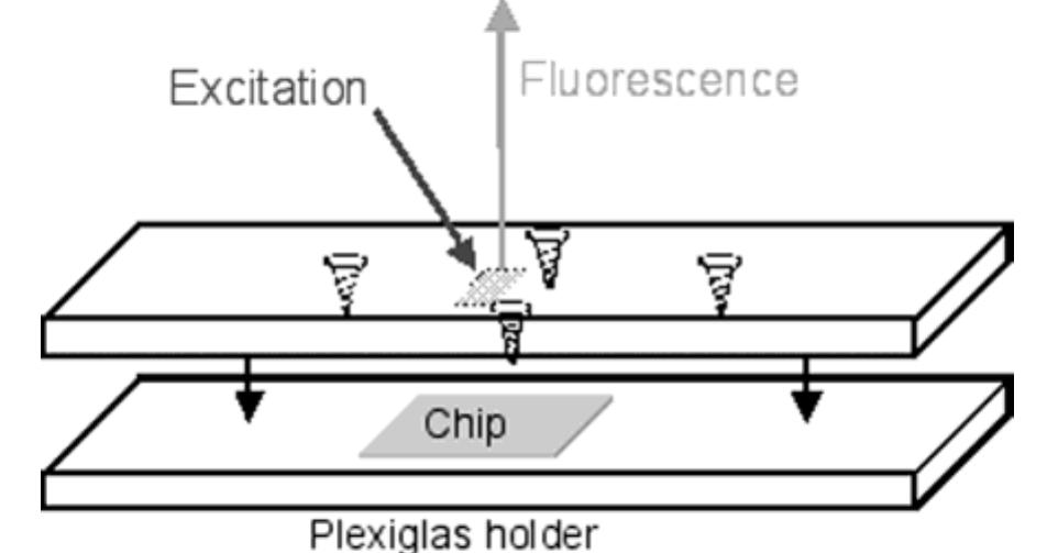 Schematic showing the working principle of oxygen sensor