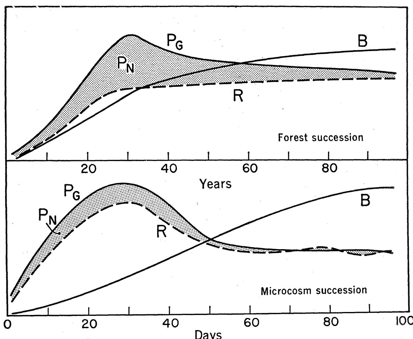 (PDF) The Strategy of Ecosystem Development
