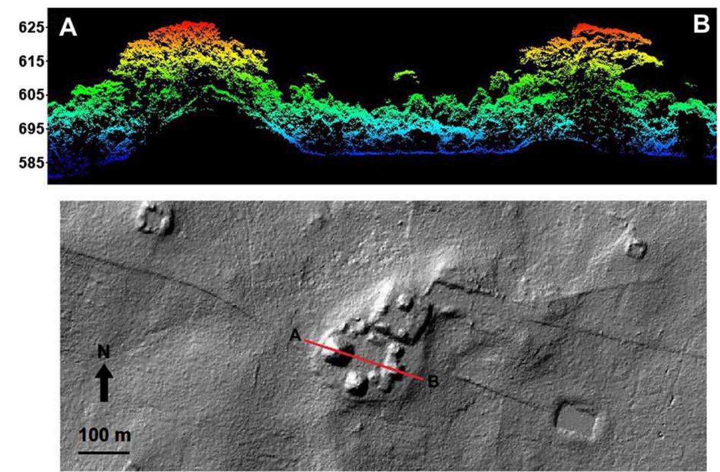 Lidar cross-section of the tree canopy and mounds at the