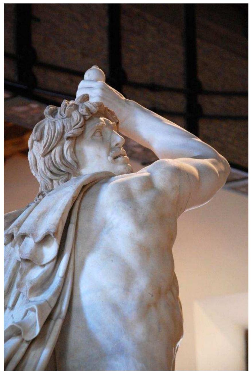 (PDF) The Galatian Suicide: Unravelling the Ludovisi Gaul killing ...