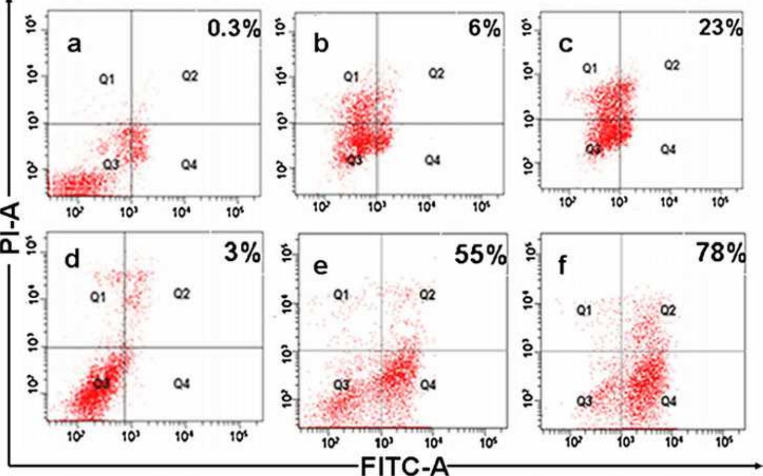 Apoptosis assay by flow cytometry. (a) control l929 cells