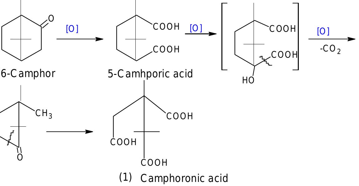 (PDF) CHEMISTRY OF NATURAL PRODUCTS