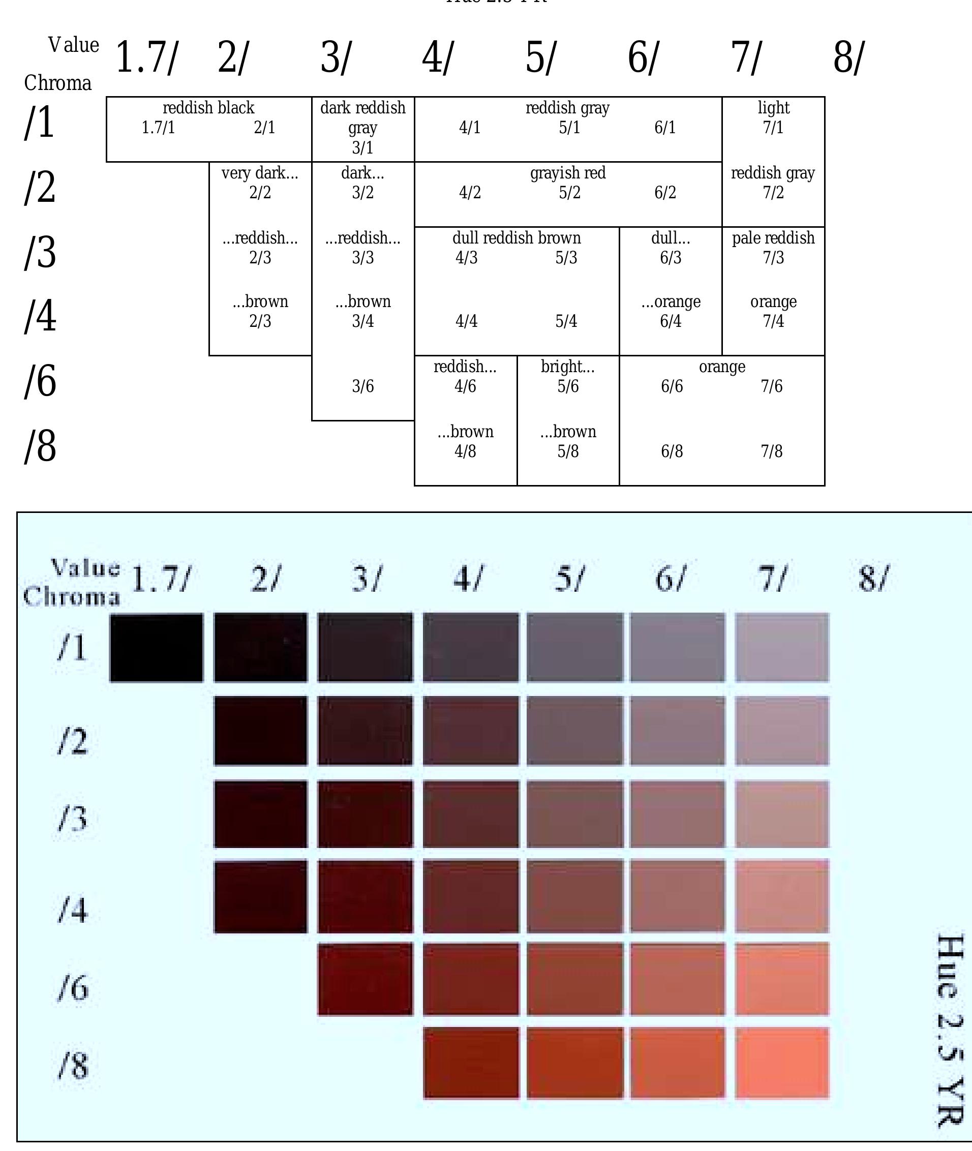 Figure 3 - tabla munsell digital