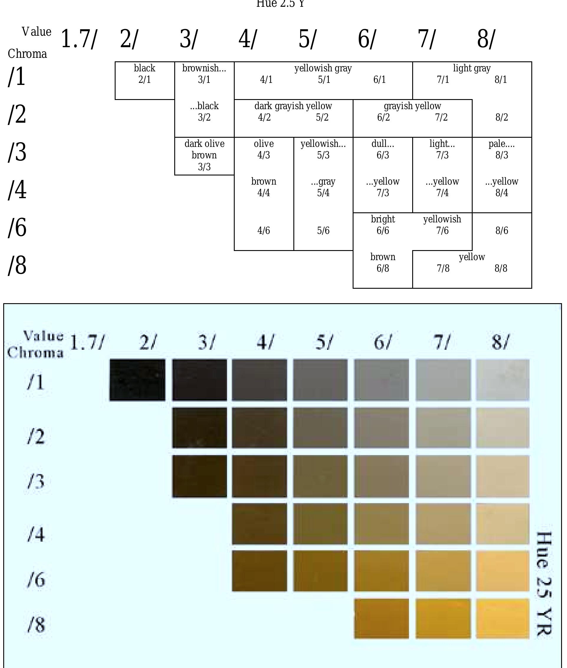 Figure 7 - tabla munsell digital