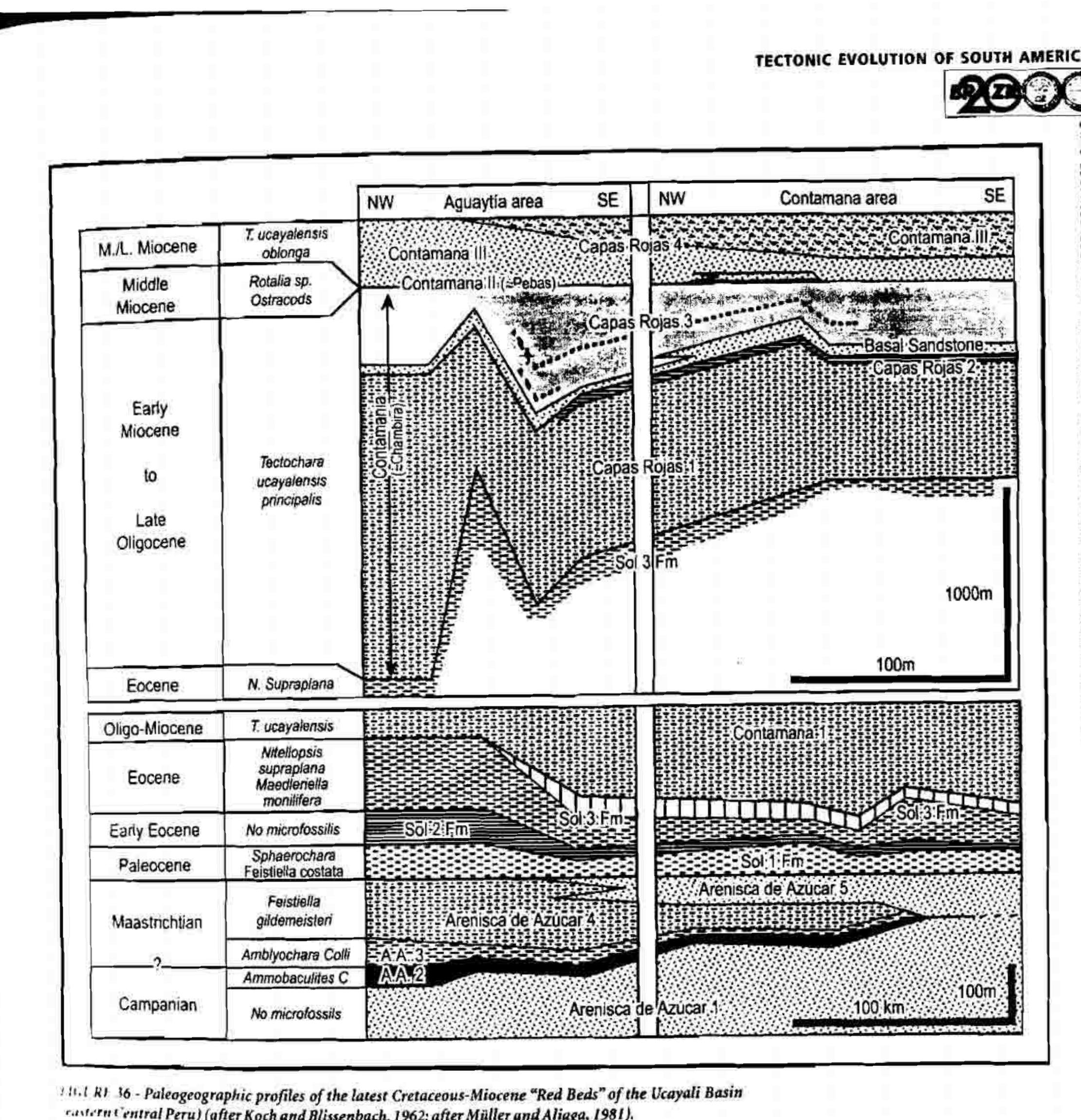 Figure 33 - Tectonic evolution of the Andes of Ecuador,
