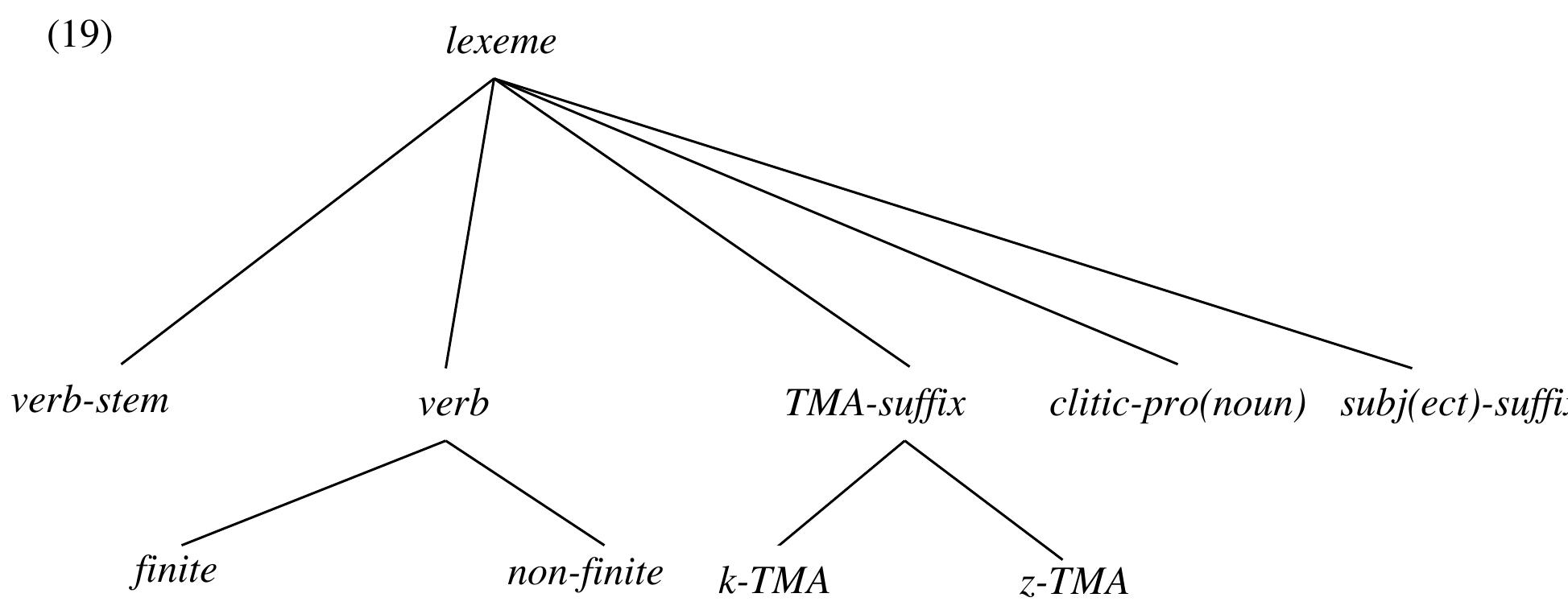 The tree in (19) illustrates the hierarchy of the lexical
