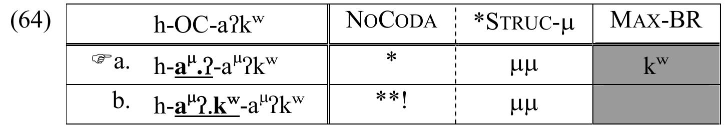 Pivot theory and the typology