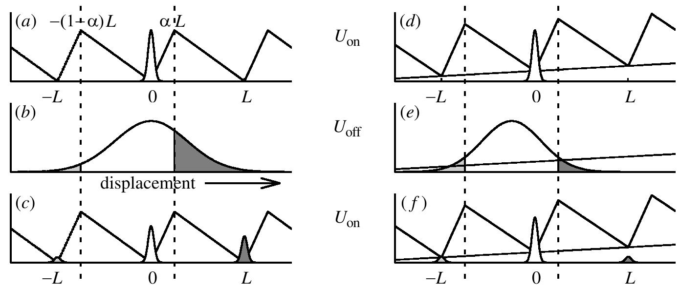 This shows how the mechanism of the ratchet potential works.
