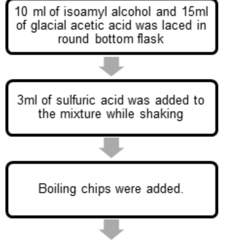 (PDF) SYNTHESIS OF ISOAMYL ACETATE