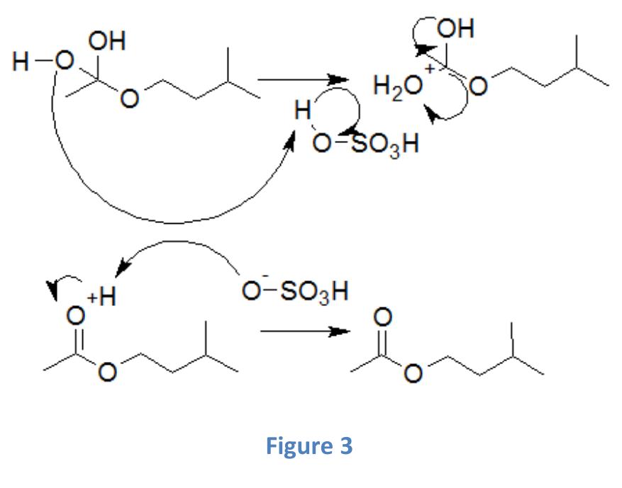 (PDF) SYNTHESIS OF ISOAMYL ACETATE