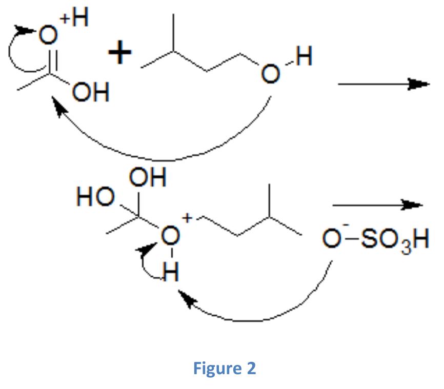 (PDF) SYNTHESIS OF ISOAMYL ACETATE