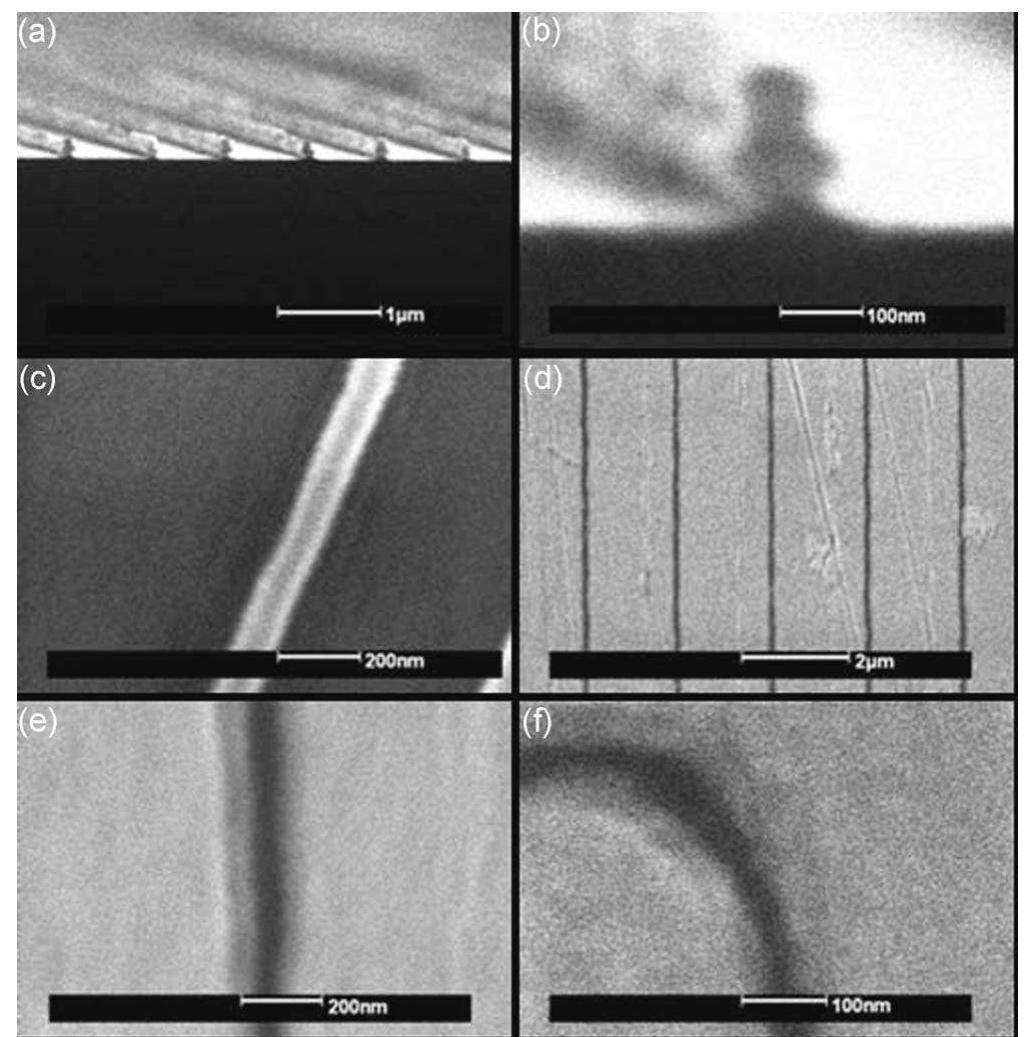 Scanning electron microscope images of the structures