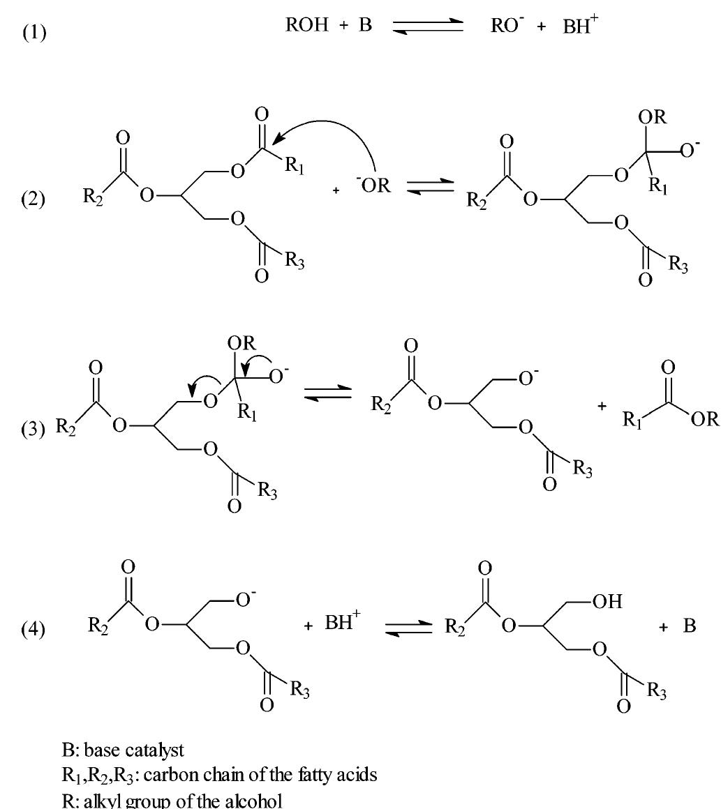 Homogeneous base-catalyzed reaction mechanism for the