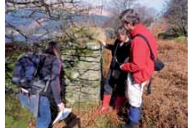 Sian (descendant of archibald macintyre from high