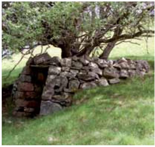 Lime kiln at torbain. john r barrett and so, from the start,