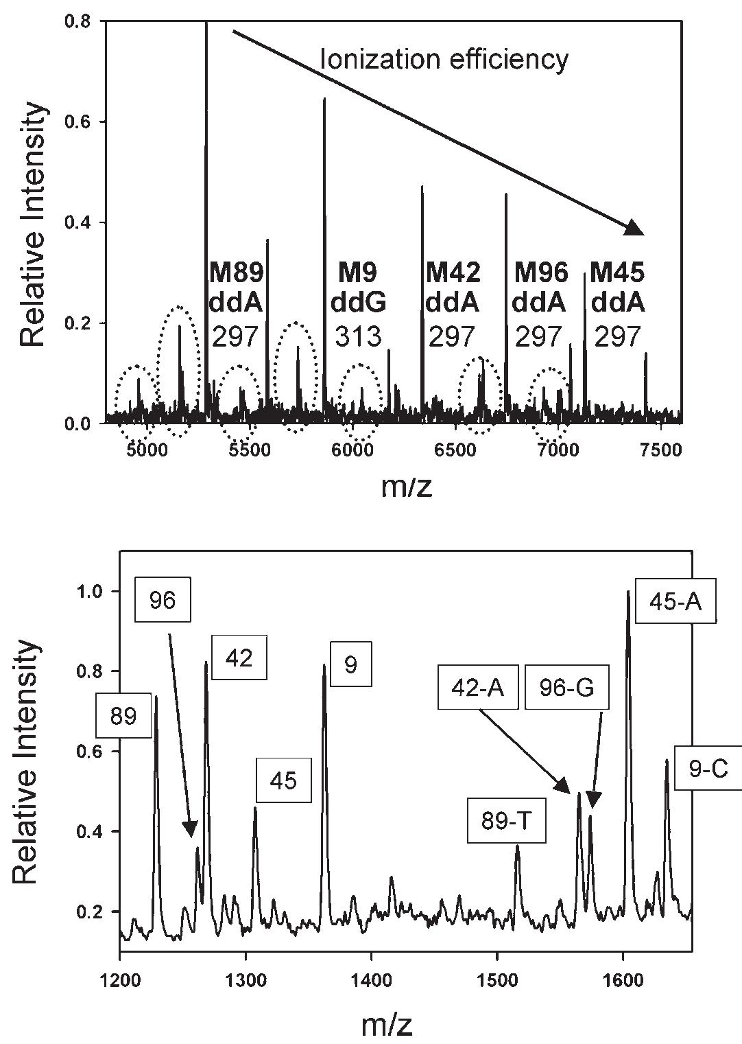 Comparison of multiplex snp detection using natural and