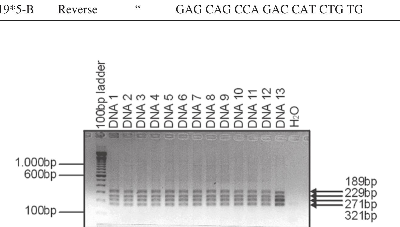 Figure 62 - Forensic DNA Typing Protocols