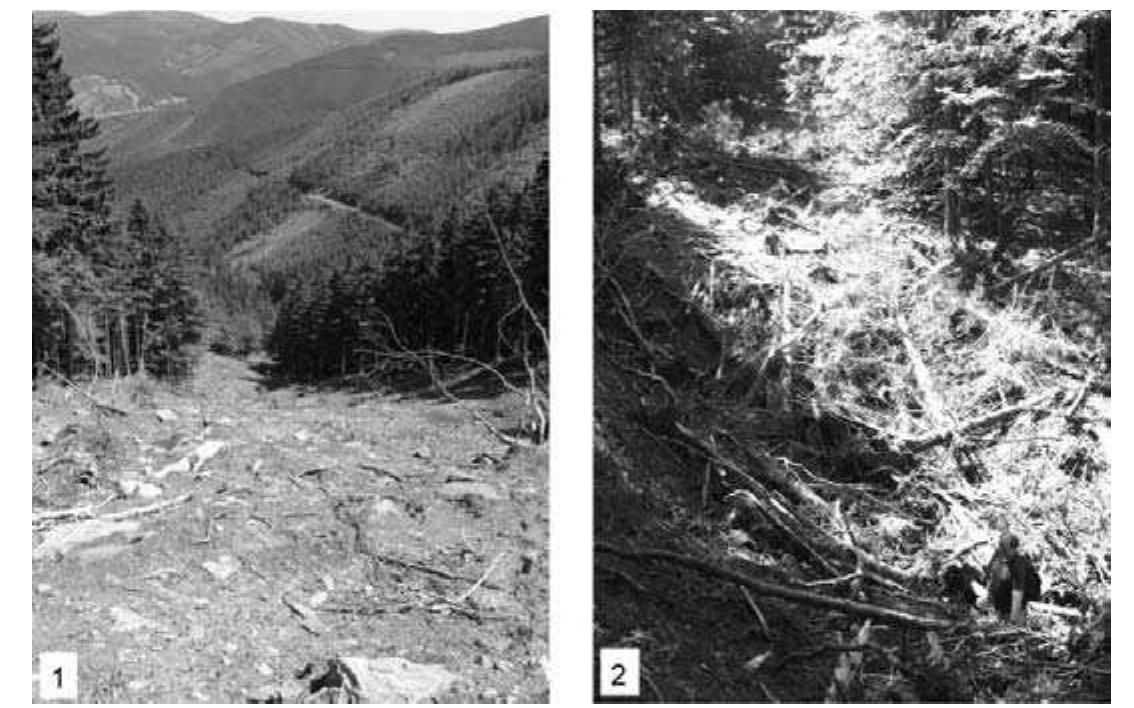 Pictures of debris flow track morphology located in the