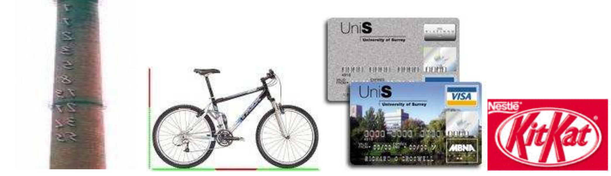 The human body is based on phi and the number 5.