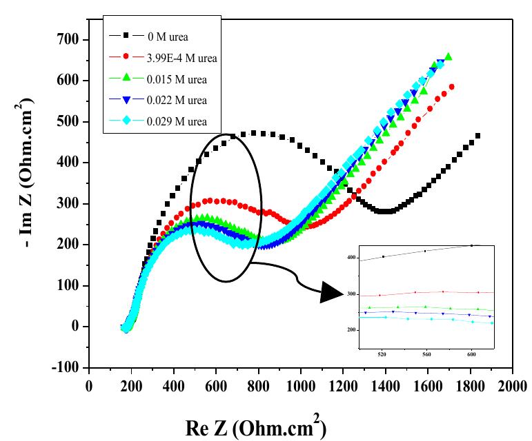 Impedance spectra of urease/bacteria/au biosensor for