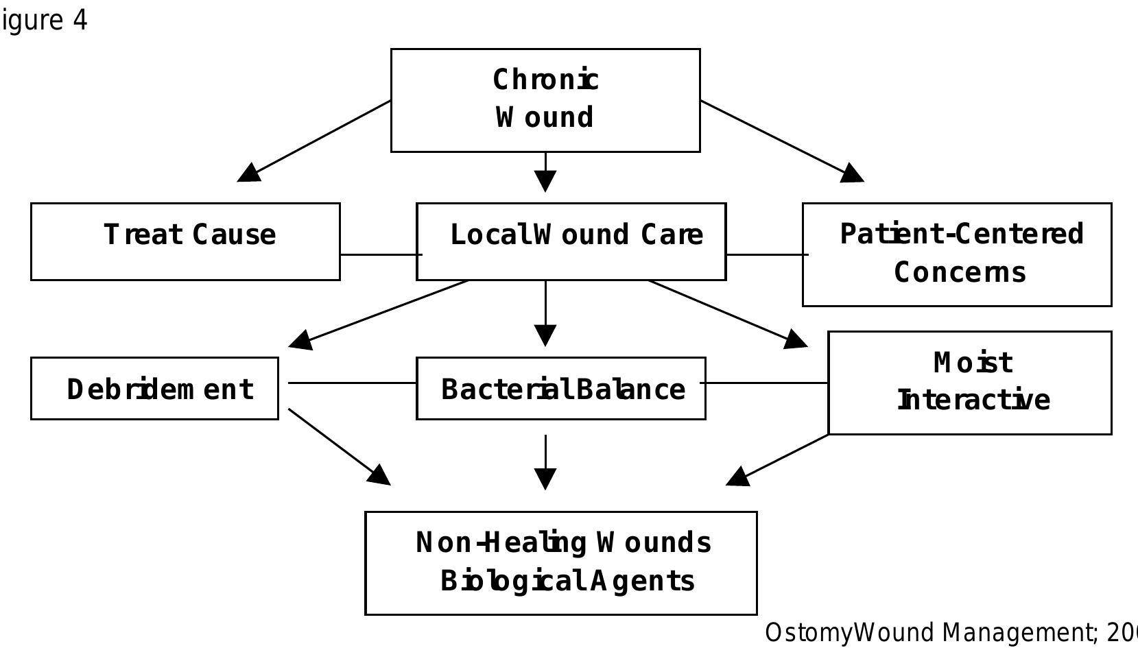 Figure 2 - THE BASIC PRINCIPLES OF WOUND HEALING