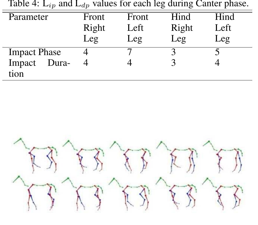 Phases of canter generated through expressions