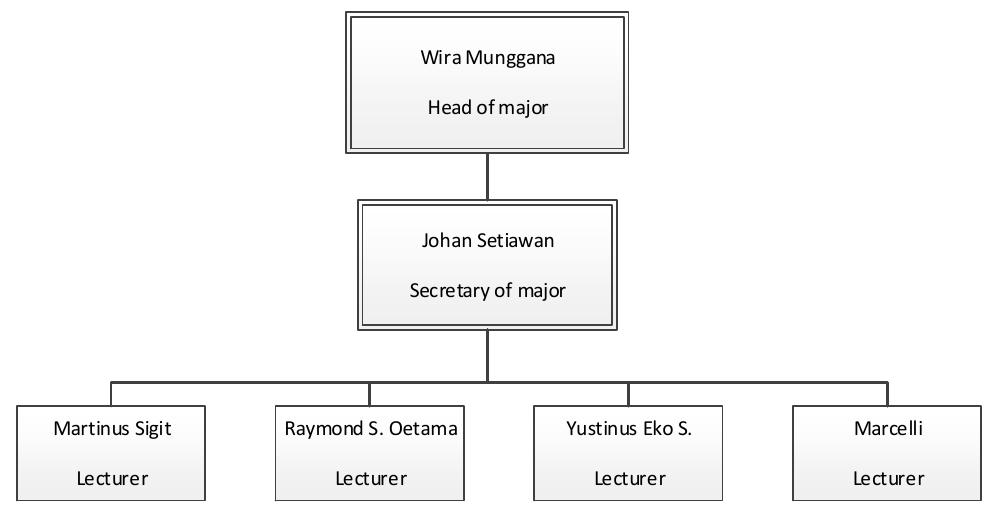 Organization structure of information systems study program.
