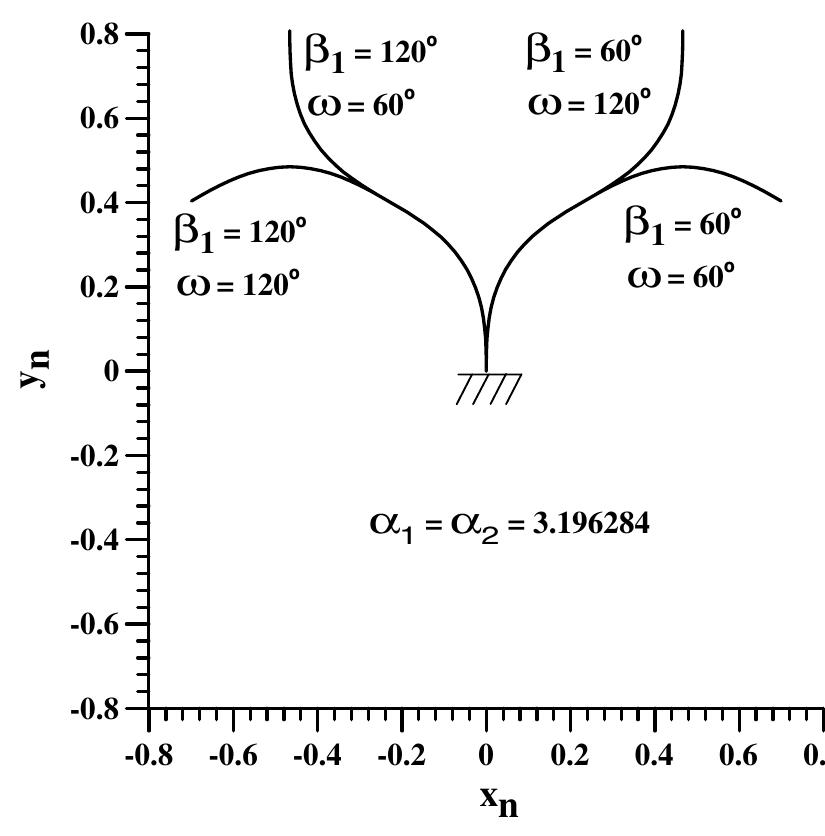 Post-buckling configurations for 6, = 60° and 120°. fig. 5.
