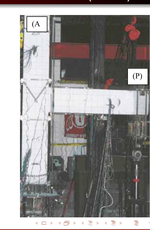 Nlfea Of Reinforced Concrete Beam Column Joints