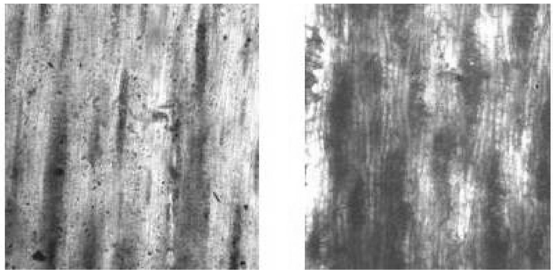 Figure 12 - from Exploring Ancient Wood And Fiber Artifact