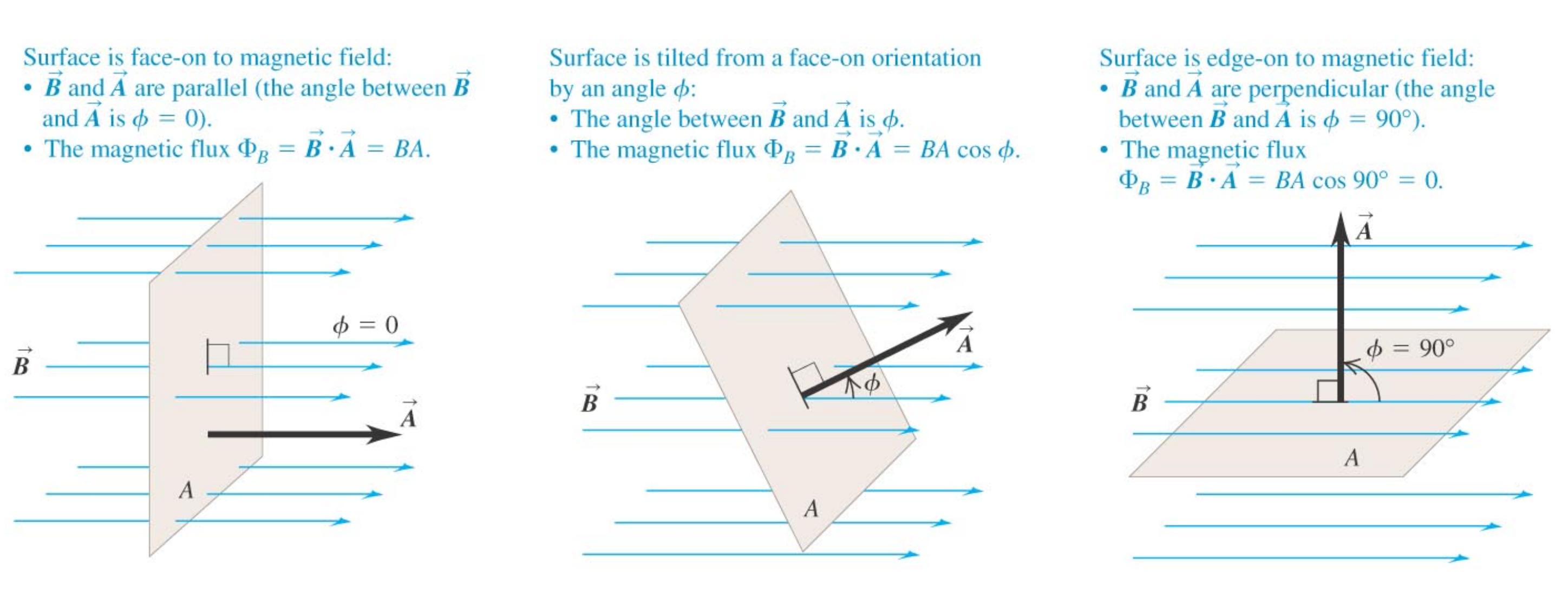 Faraday’s law: the induced emf in a closed loop equals the