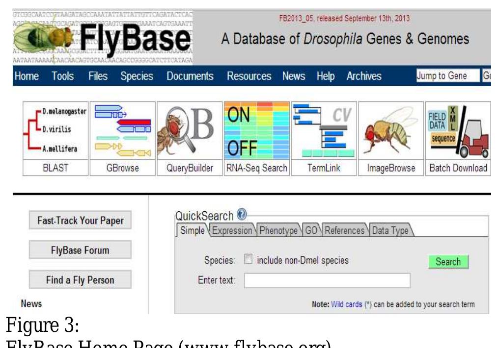 Model. vital information about available mutant alleles,
