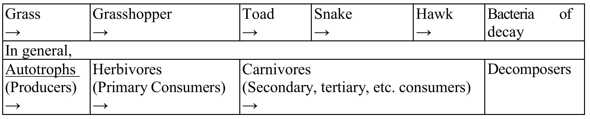 The table gives one example of a food chain and the trophic
