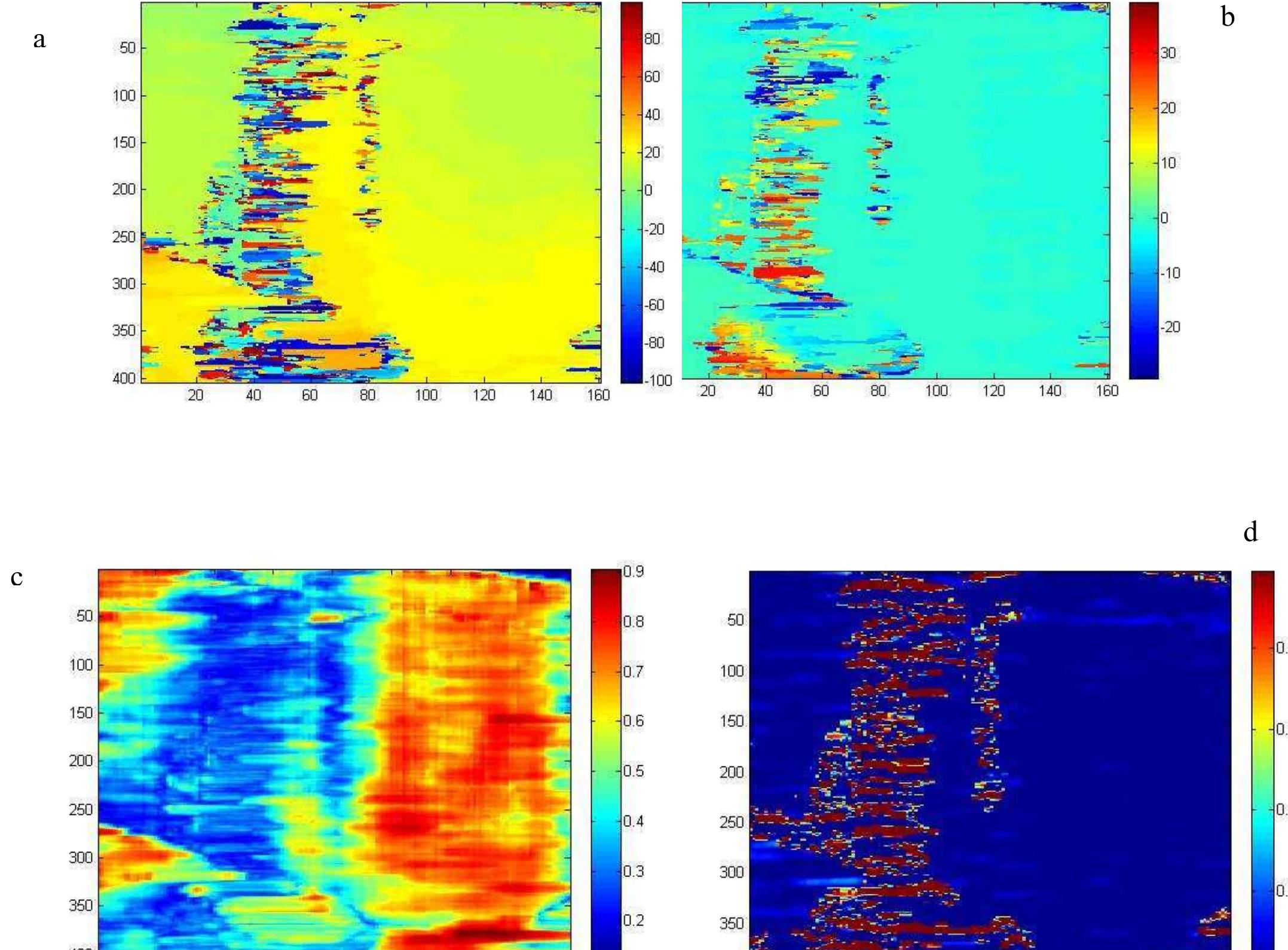 : images of the elastogram process of the b16 tumor for an