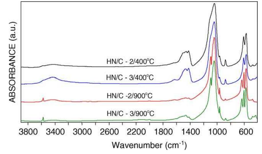 Ftir spectra of carbonated hydroxyapatite powders (hn/c-2,