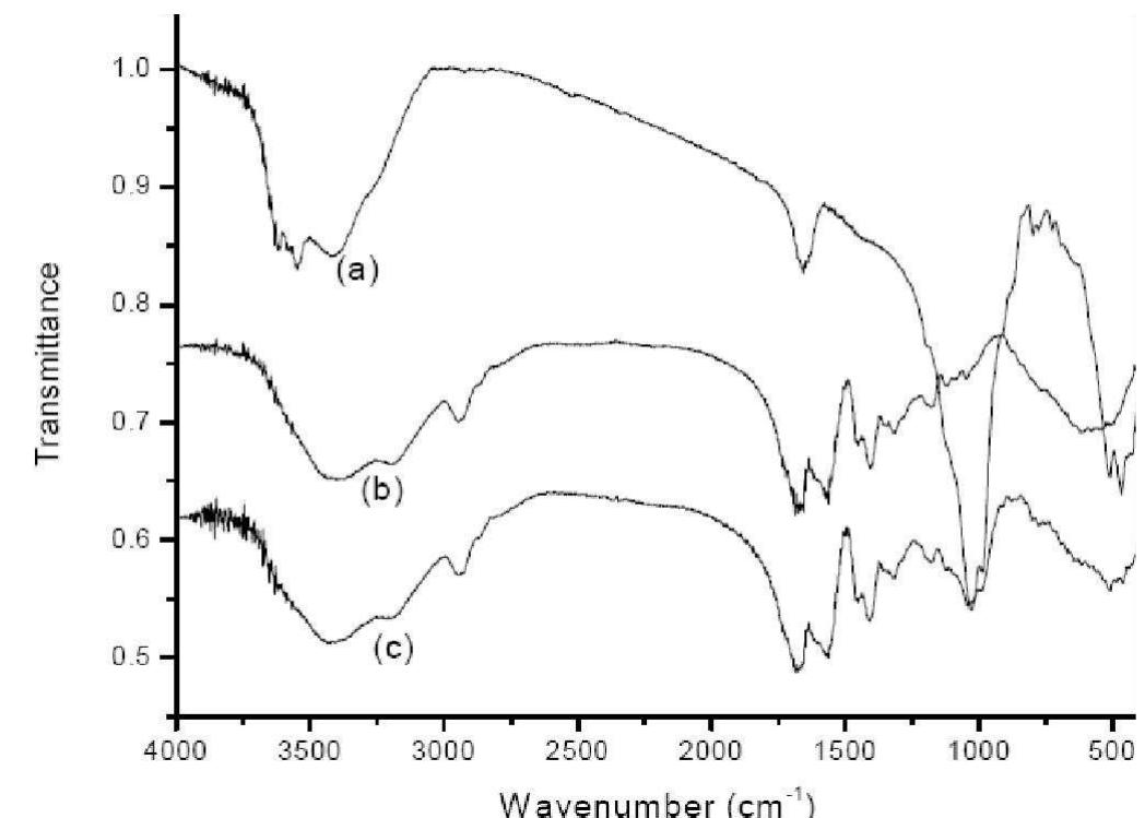 Ftir spectra of (a) bentonite, (b) copolymer and (c)