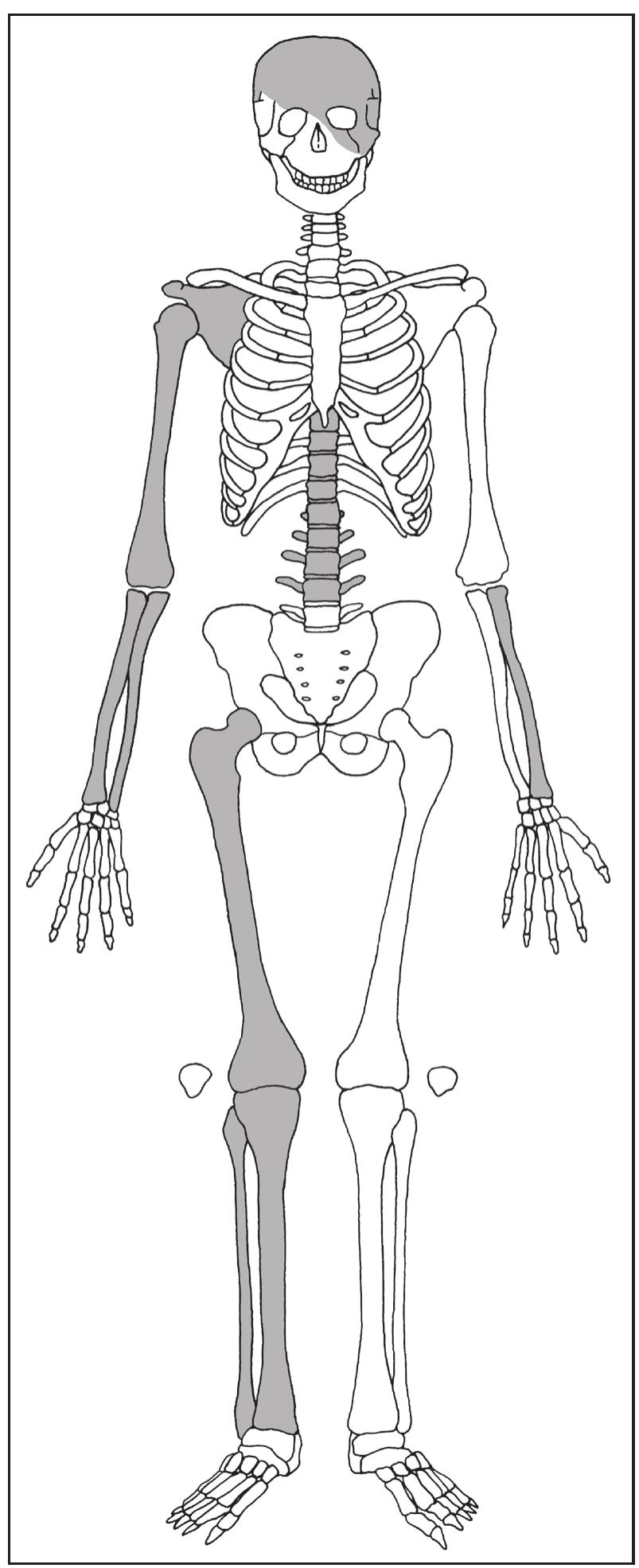 Figure 4 - from A bioarchaeological analysis of violence in