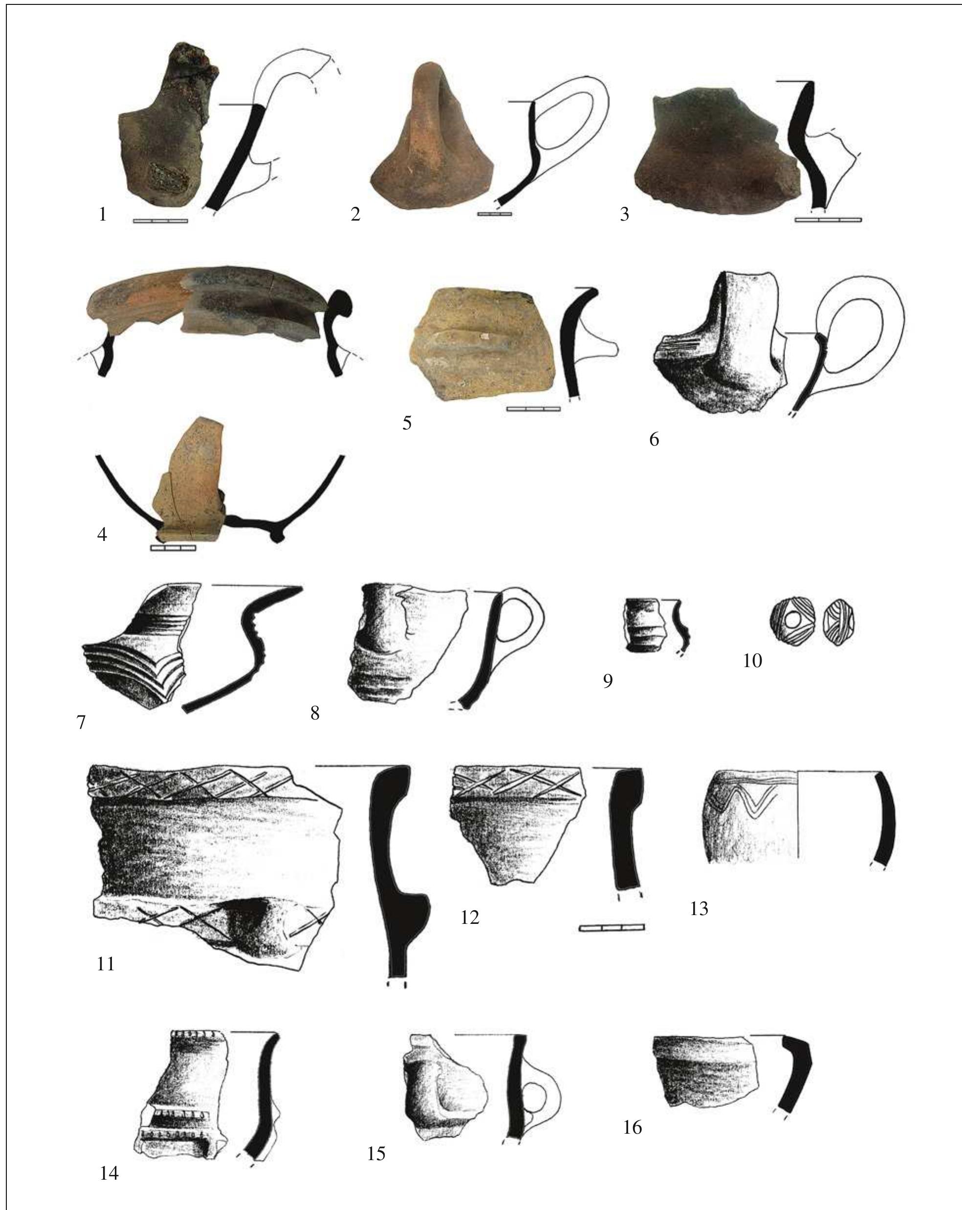 Aleksandar kapuran, late hallstatt pottery from