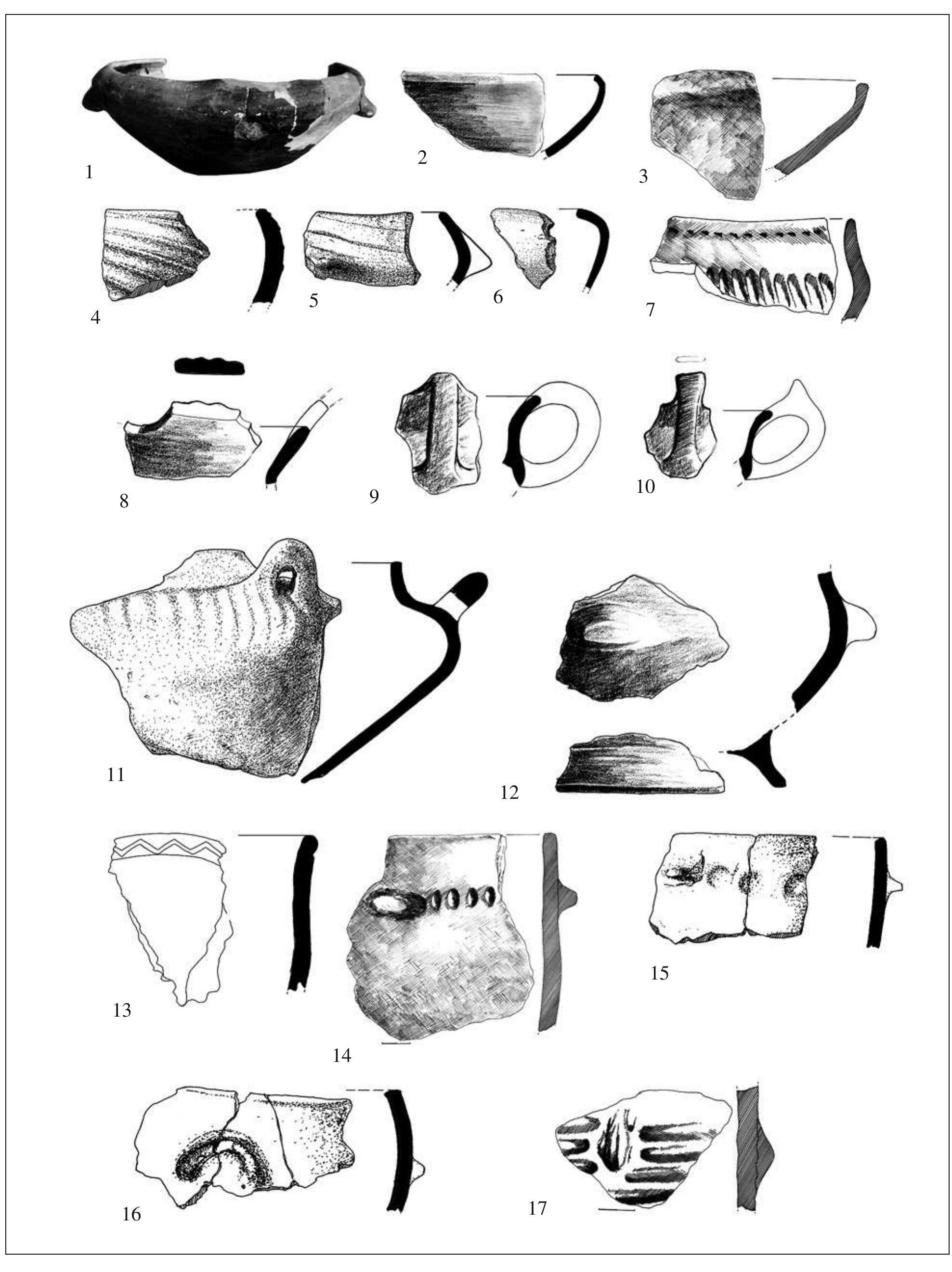 Figure 11 - from Late Hallstatt pottery from North - Eastern