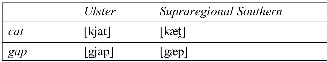 (PDF) The phonology of Irish English