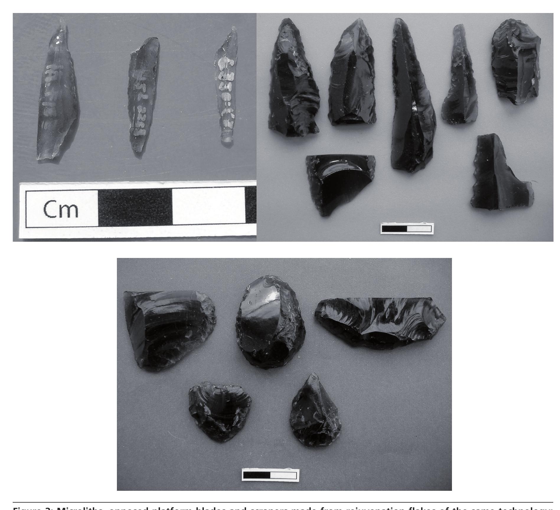 During the early pottery neolithic, the community primarily