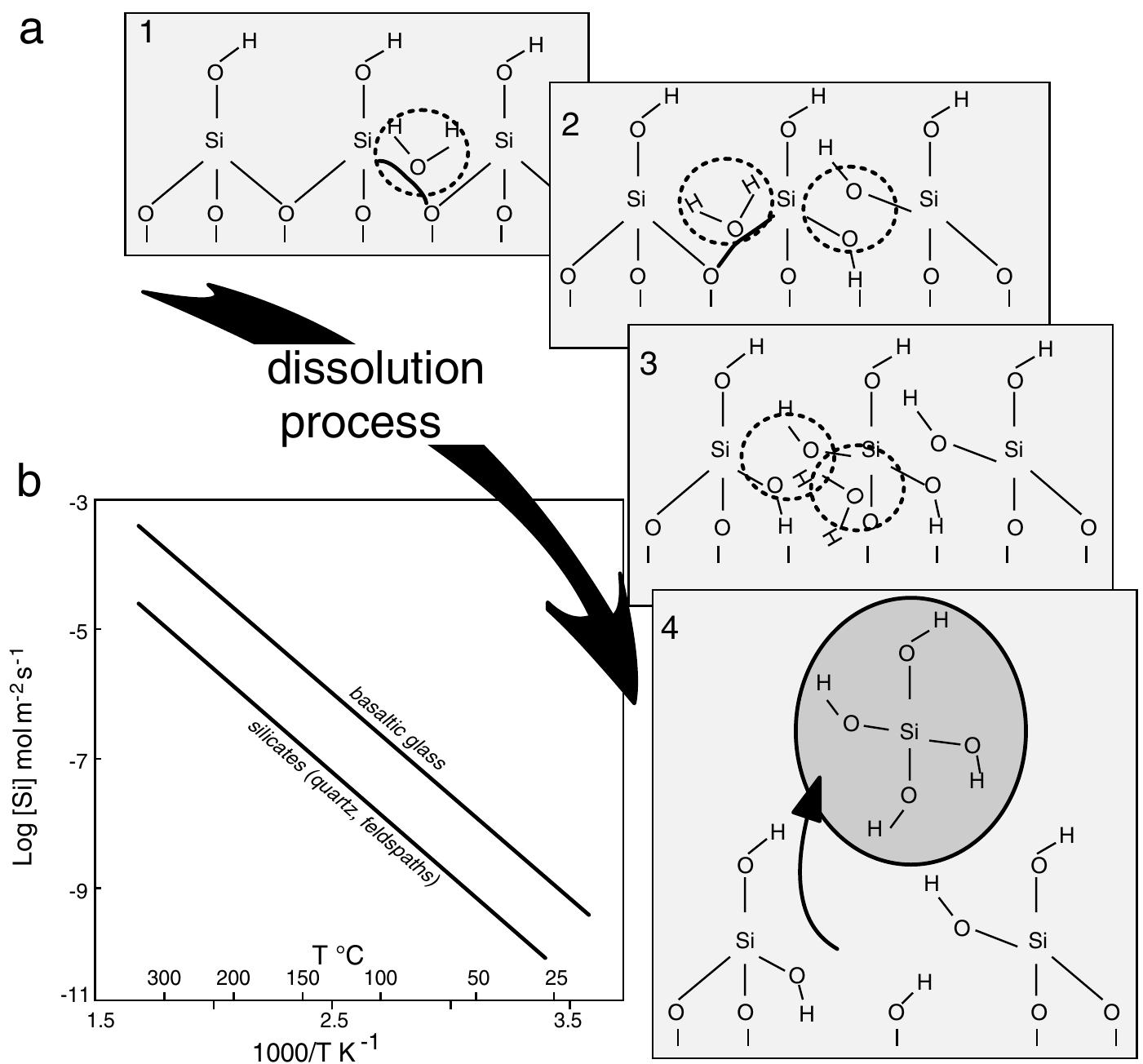 3a,b. mechanism of dissolution. a) dissolution of quartz