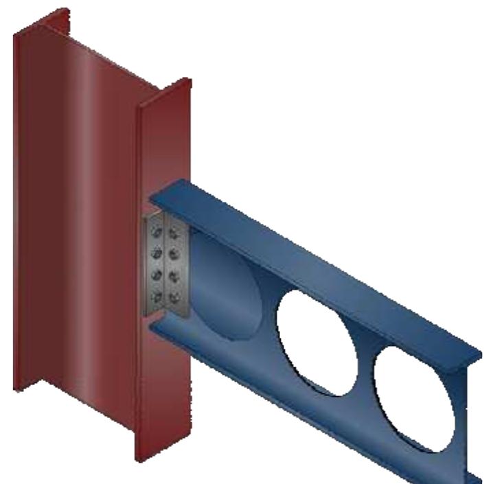 -3 example of a joint with a web cleat connection