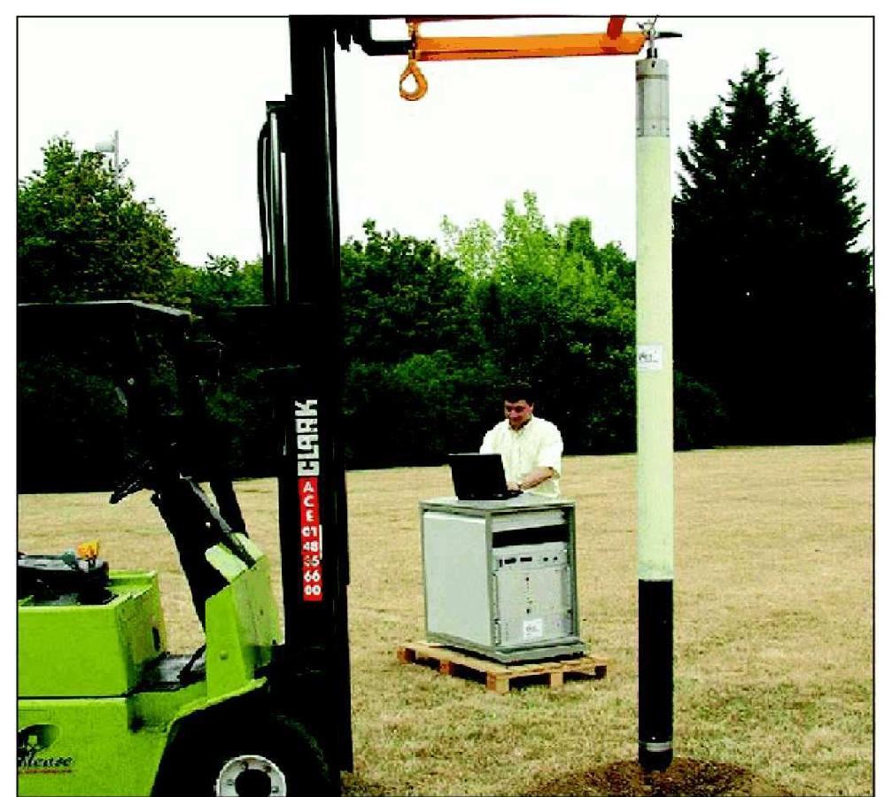 Neutron activation multi-element borehole assay system