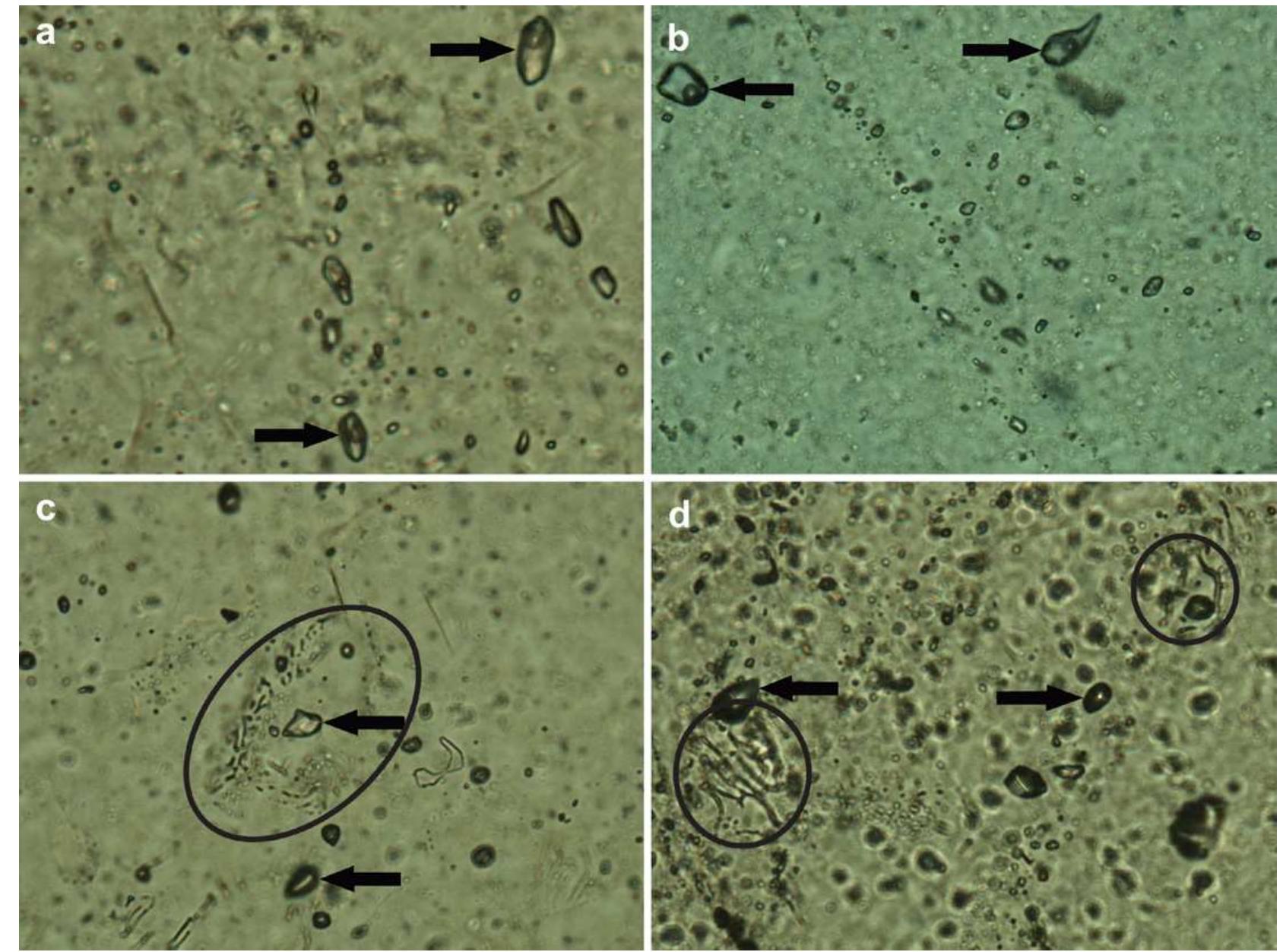 Appearance of fluid inclusions before (a, b) and after (c,